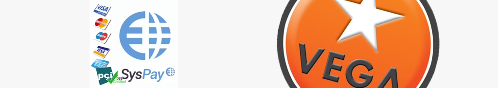 Groupe Quatuhore | VEGA.Pmt : un nouveau connecteur pour digitaliser vos paiements CB et ...